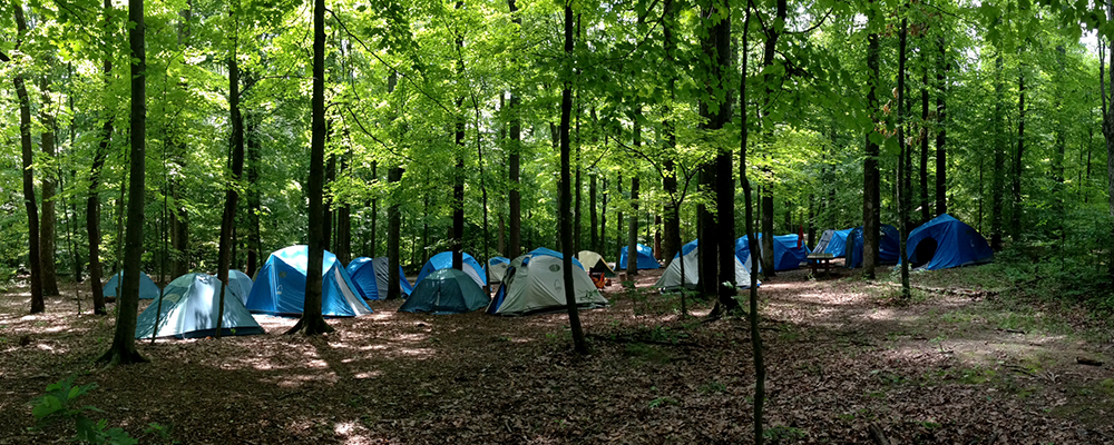 10 Tips for Healthy Camping - Care Club